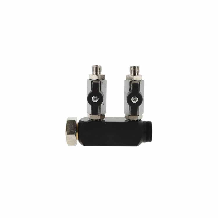 Outlet manifold for extension with 2 ball valves [for SATA filter ...